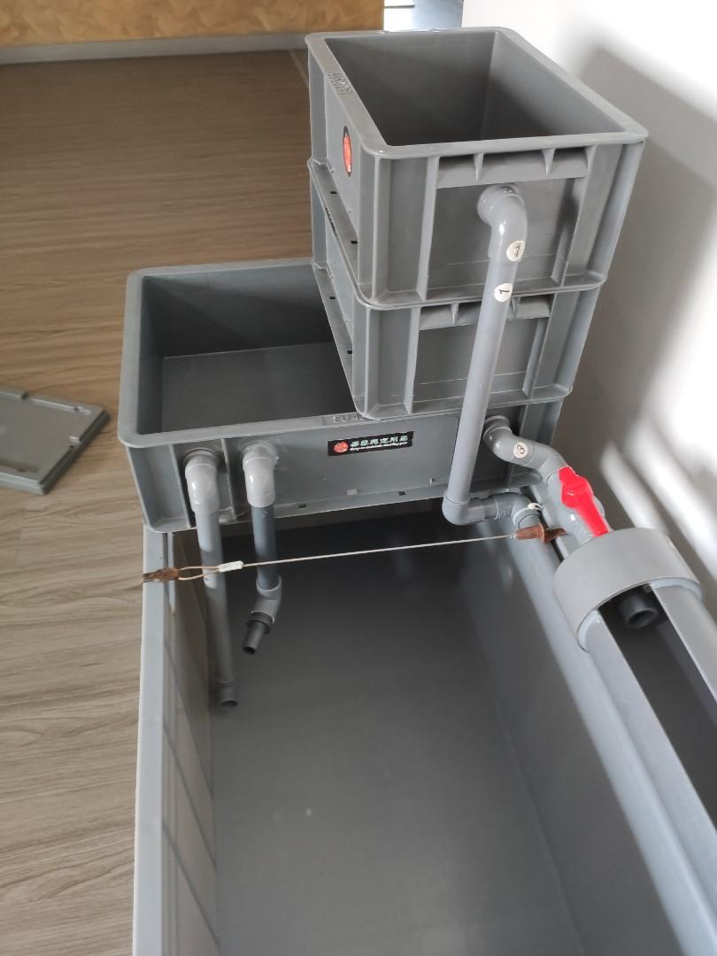 Fish/turtle/tortoise tub with overhead filter, Pet Supplies, Homes ...