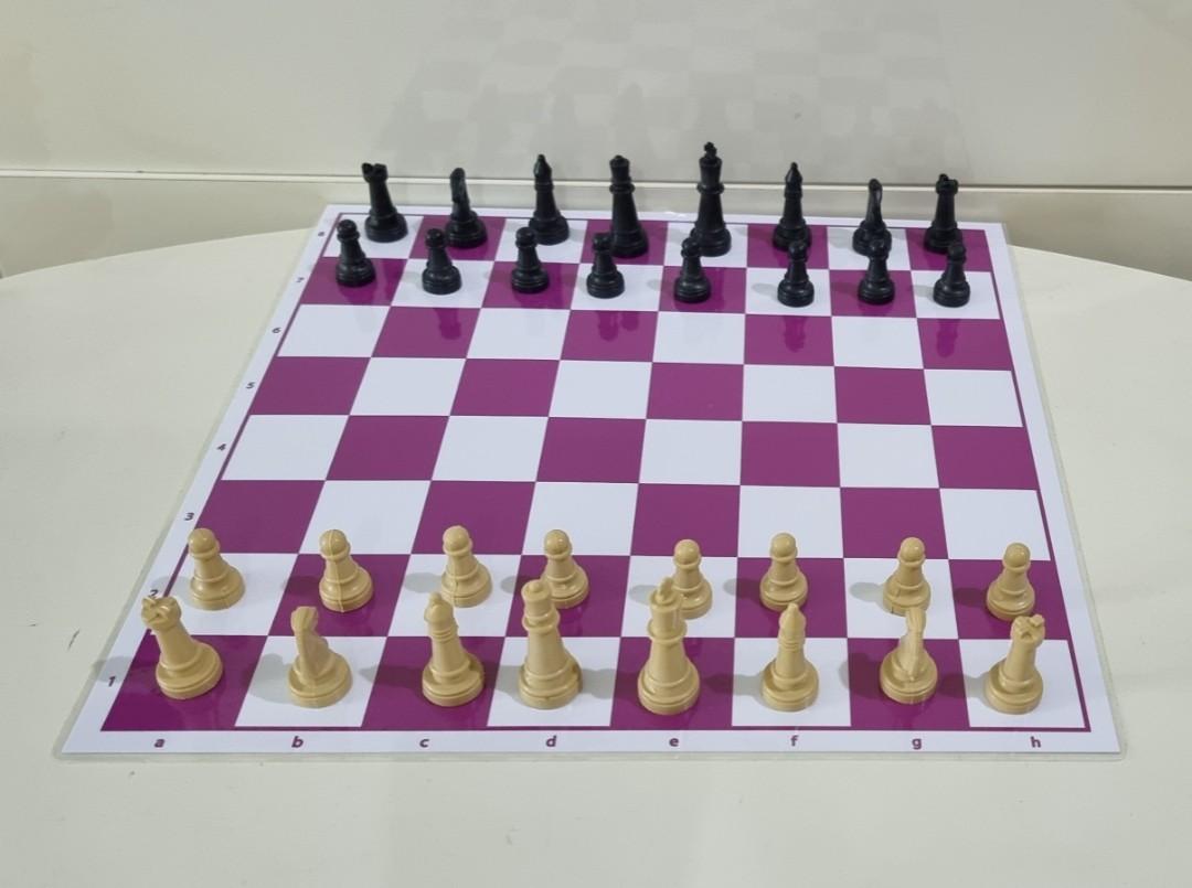Pink Chess Set (Small) : About 30 x 30 cm, Hobbies & Toys, Toys & Games ...