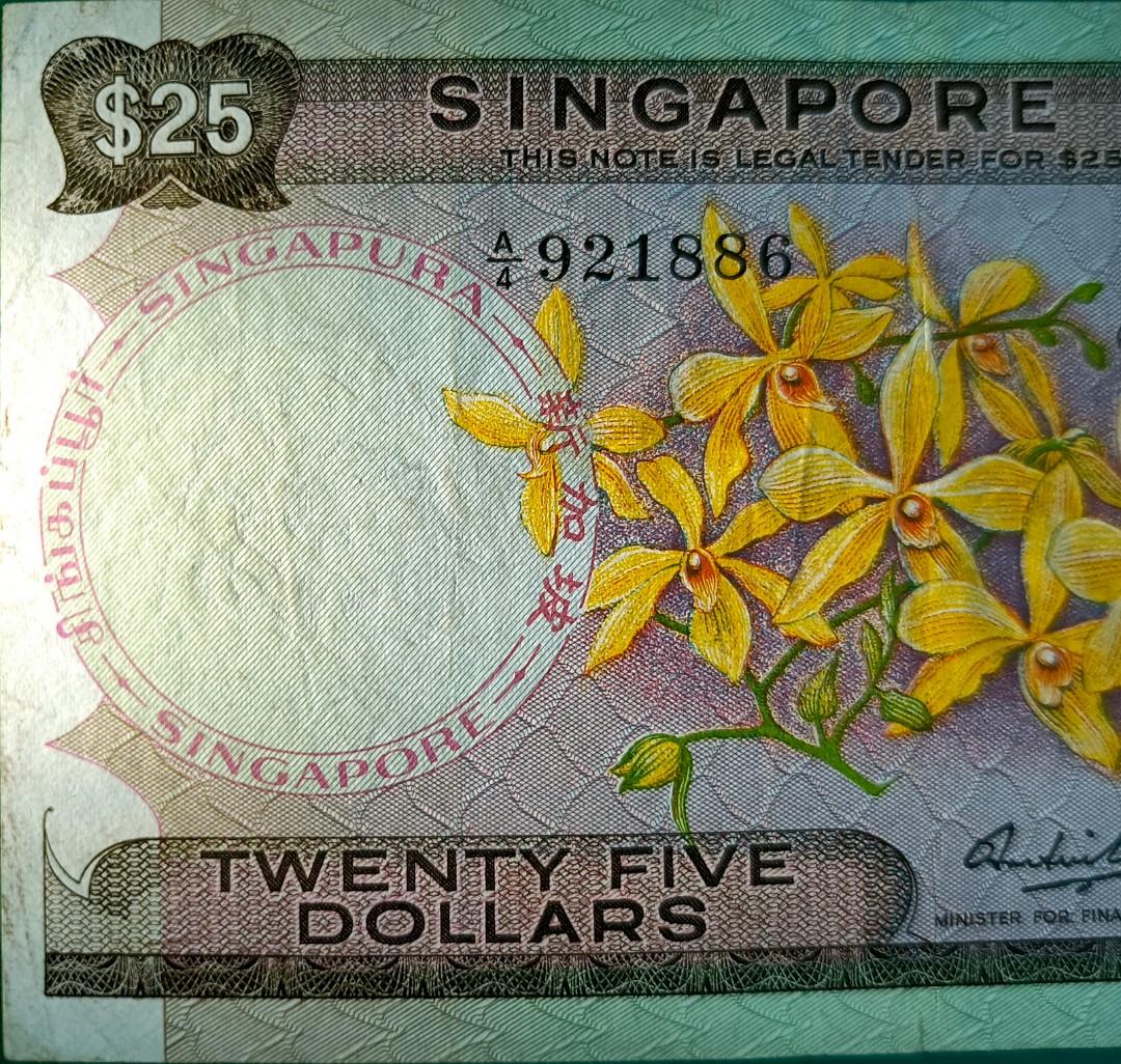 Singapore Orchid $25, Hobbies & Toys, Memorabilia & Collectibles ...