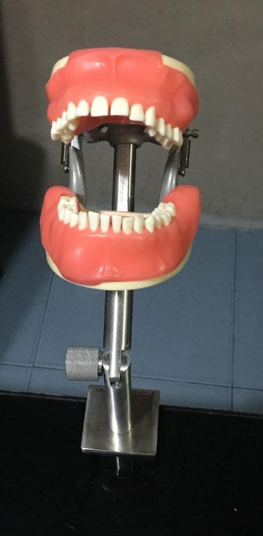 TABLE TOP/TYPODONT MOUNT OR ROD, Health & Nutrition, Medical Supplies ...