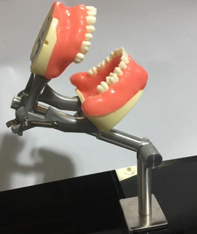 TABLE TOP/TYPODONT MOUNT OR ROD, Health & Nutrition, Medical Supplies ...