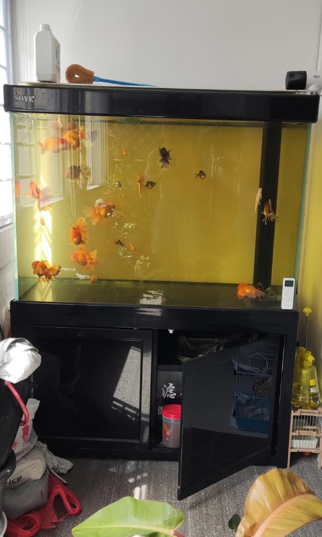 4 Ft Fish Tank With Cabinet & Sump Tank, Pet Supplies, Homes & Other ...