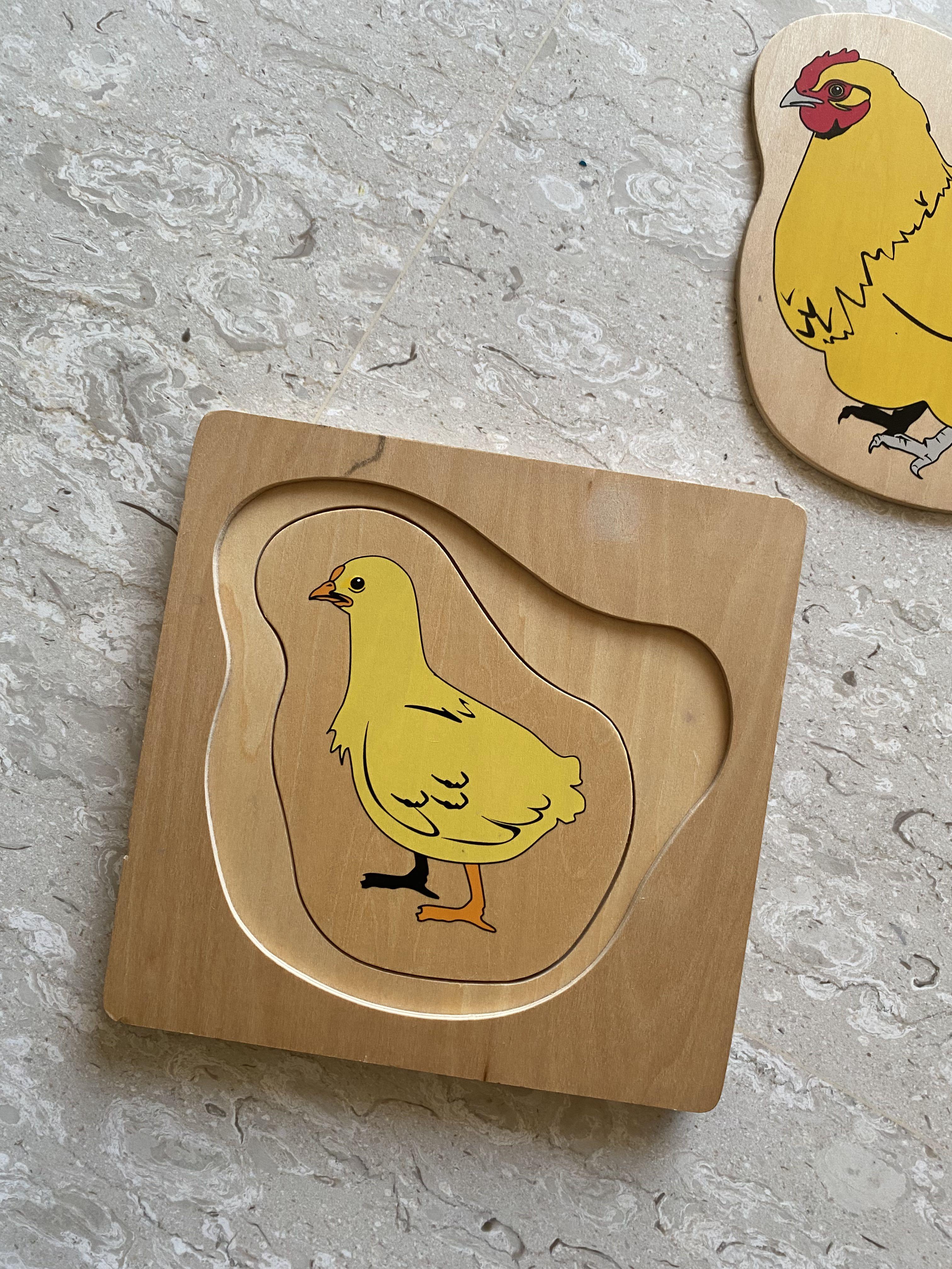 Chicken Life Cycle Puzzle, Hobbies & Toys, Toys & Games on Carousell