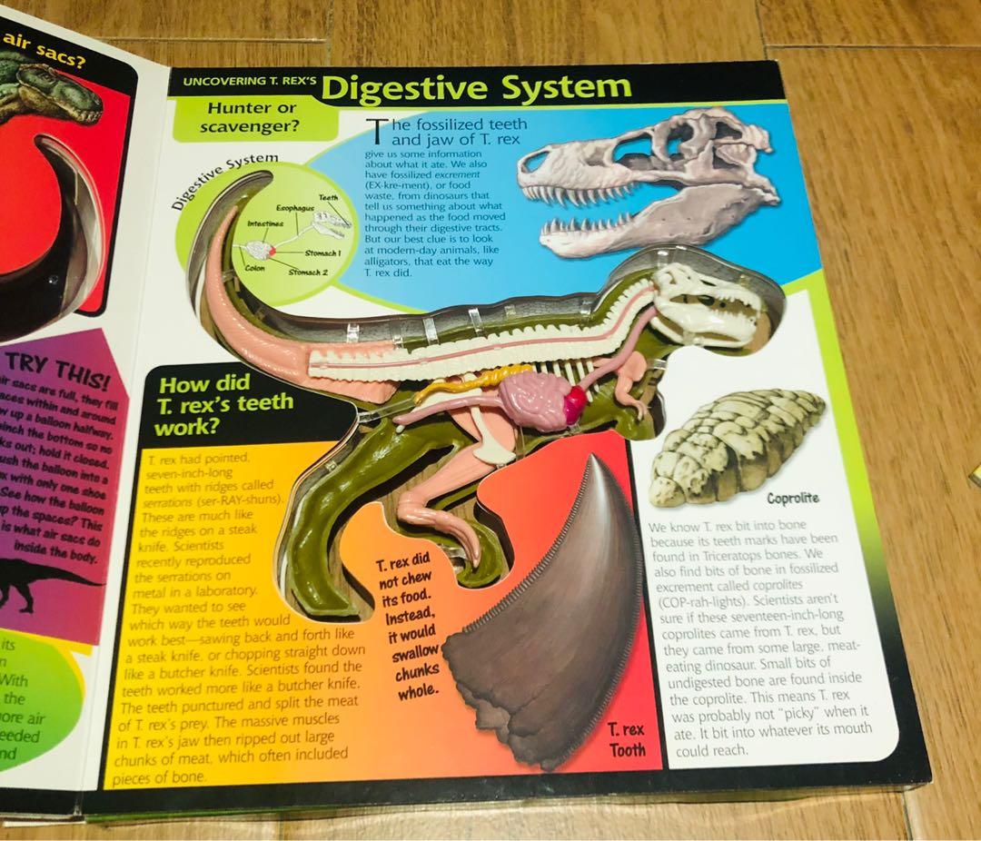 Dinosaur Anatomy Book 3D - XL Book, Hobbies & Toys, Books & Magazines ...
