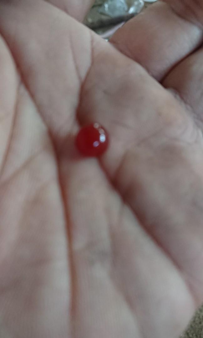 Geliga ikan merah, Hobbies & Toys, Collectibles & Memorabilia, Vintage ...