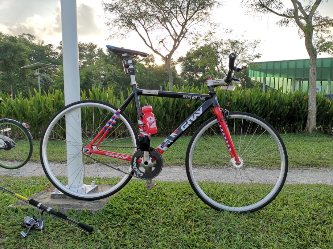 Gray team frameset, Sports Equipment, Bicycles & Parts, Bicycles on ...