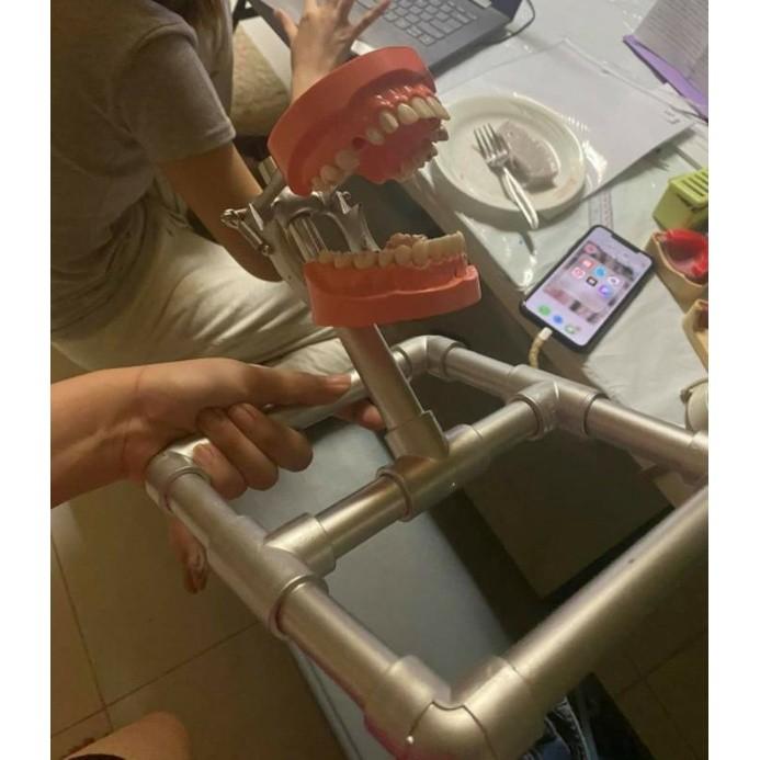 Typodont mount Stand dental Table top, Beauty & Personal Care, Oral ...