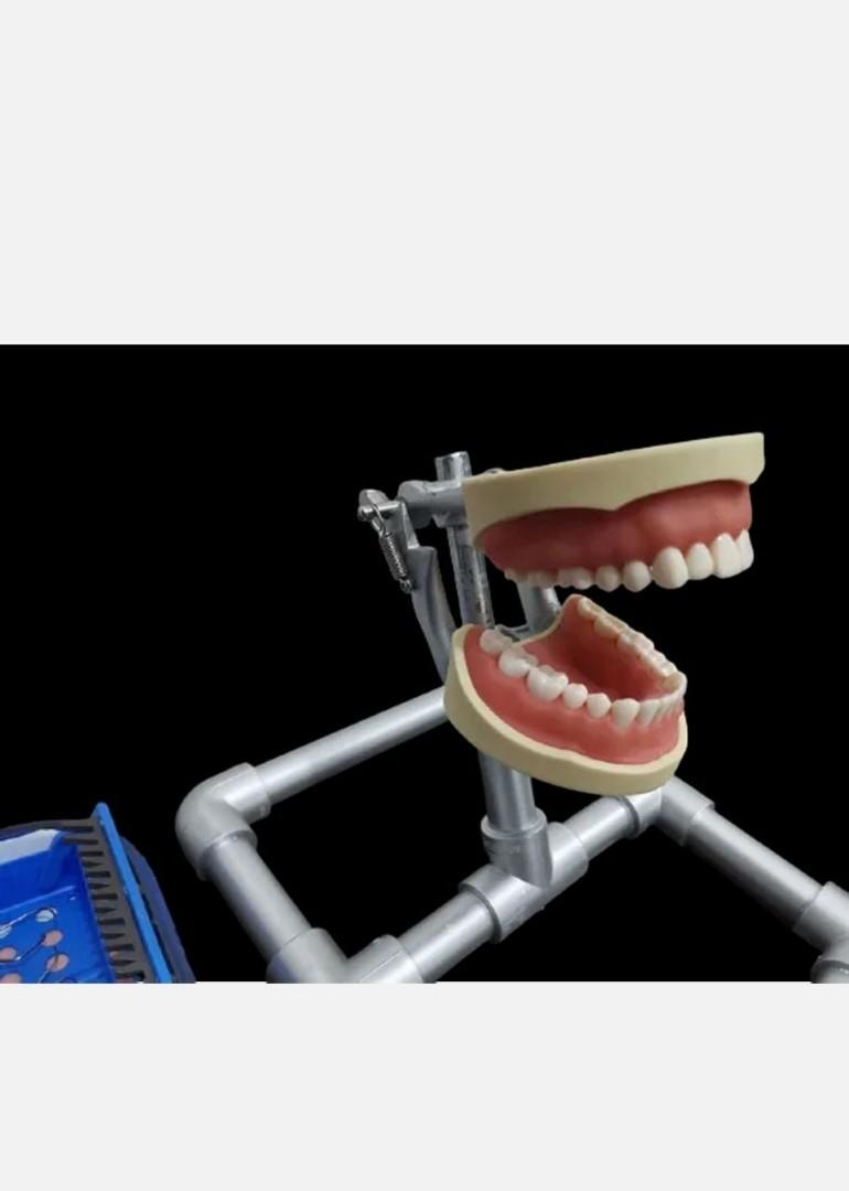 Typodont mount Stand dental Table top, Beauty & Personal Care, Oral ...