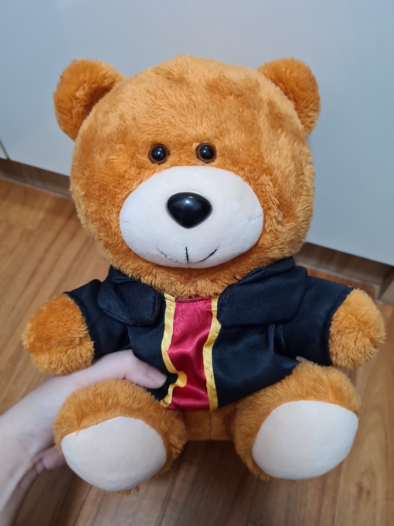 BRAND NEW Temasek Poly Graduation Bear, Hobbies & Toys, Toys & Games on ...