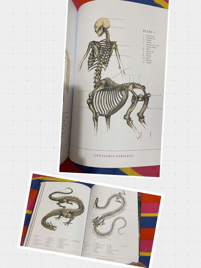 The Resurrectionist: The Lost Work of Dr. Spencer Black by E.B ...