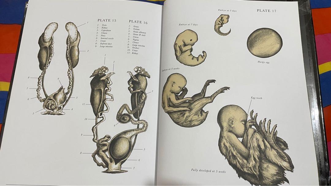 The Resurrectionist: The Lost Work of Dr. Spencer Black by E.B ...