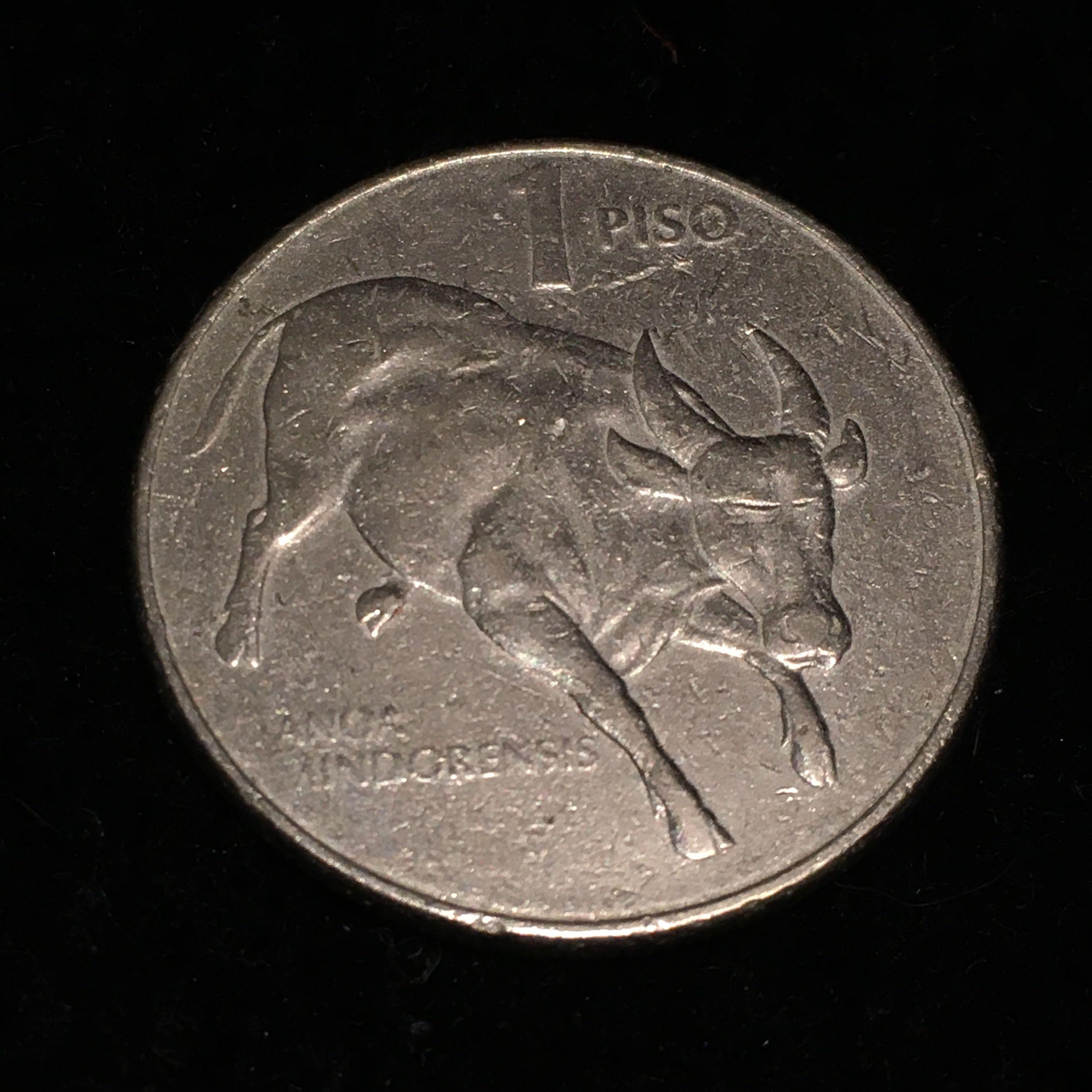 1985 Philippines 1 Piso - Mindoro Dwarf Buffalo, Hobbies & Toys ...