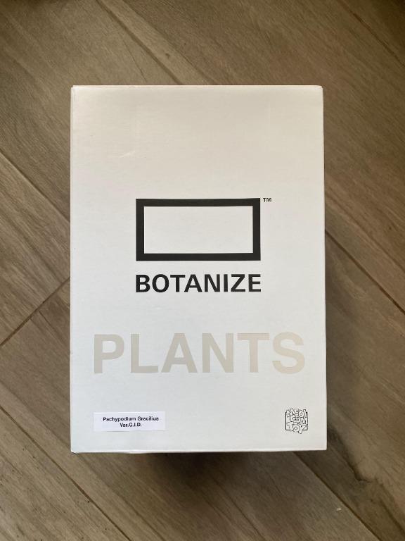 全新 Medicom Toy X Botanize Vinyl Collectible Dolls Pachypodium Gracilius G.I.D. 象牙宮 GID VCD, 興趣及 ...