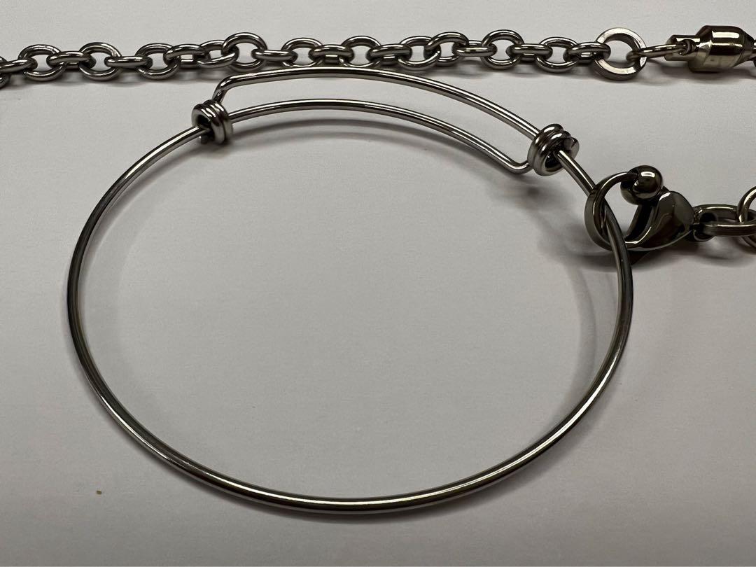 Parrot leg chain/hook/leash with spring hook or spiral hook, Pet ...