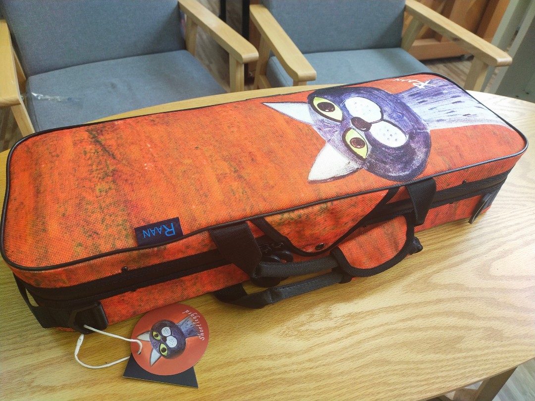 RAAN cartoon series violin case 1/10-1/4, Hobbies & Toys, Music & Media ...