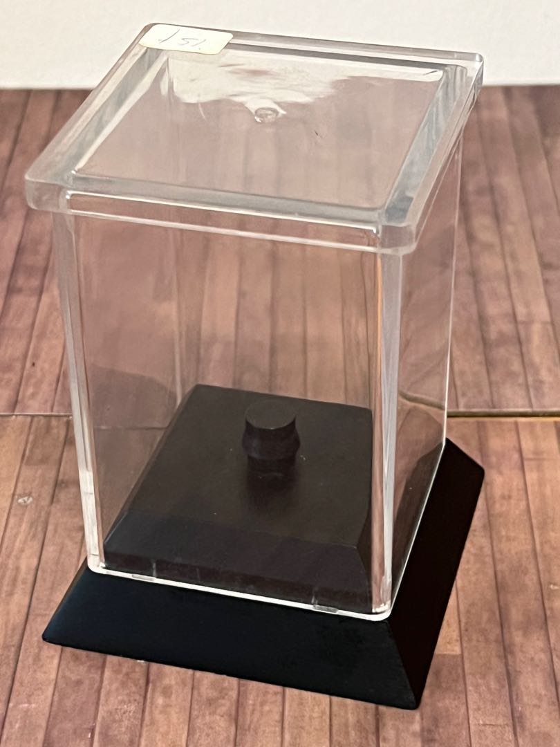 1/6 scale display case head sculpt, Hobbies & Toys, Toys & Games on ...