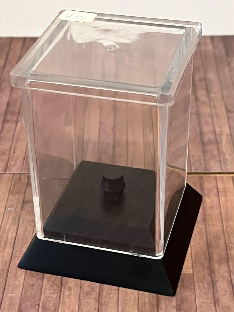 1/6 scale display case head sculpt, Hobbies & Toys, Toys & Games on ...