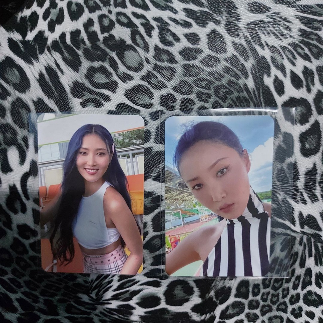 MAMAMOO HWASA PHOTOCARD CONCERT WAW OFFICIAL MD, Hobbies & Toys ...
