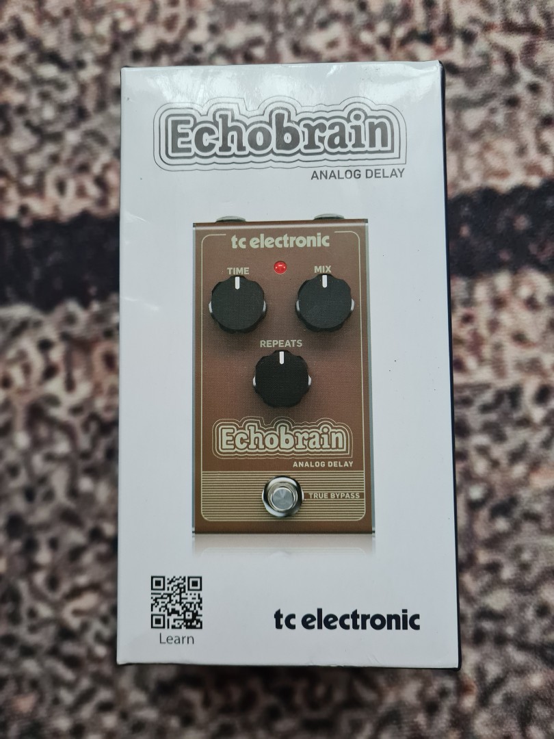 EchoBrain Analog Delay, Hobbies & Toys, Music & Media, Music Accessories on Carousell
