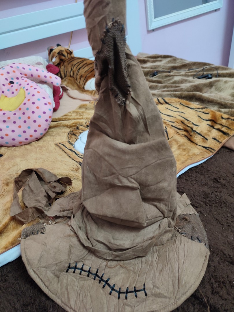 HARRY POTTER SORTING HAT HAND PUPPET ORIGINAL, Hobbies & Toys ...