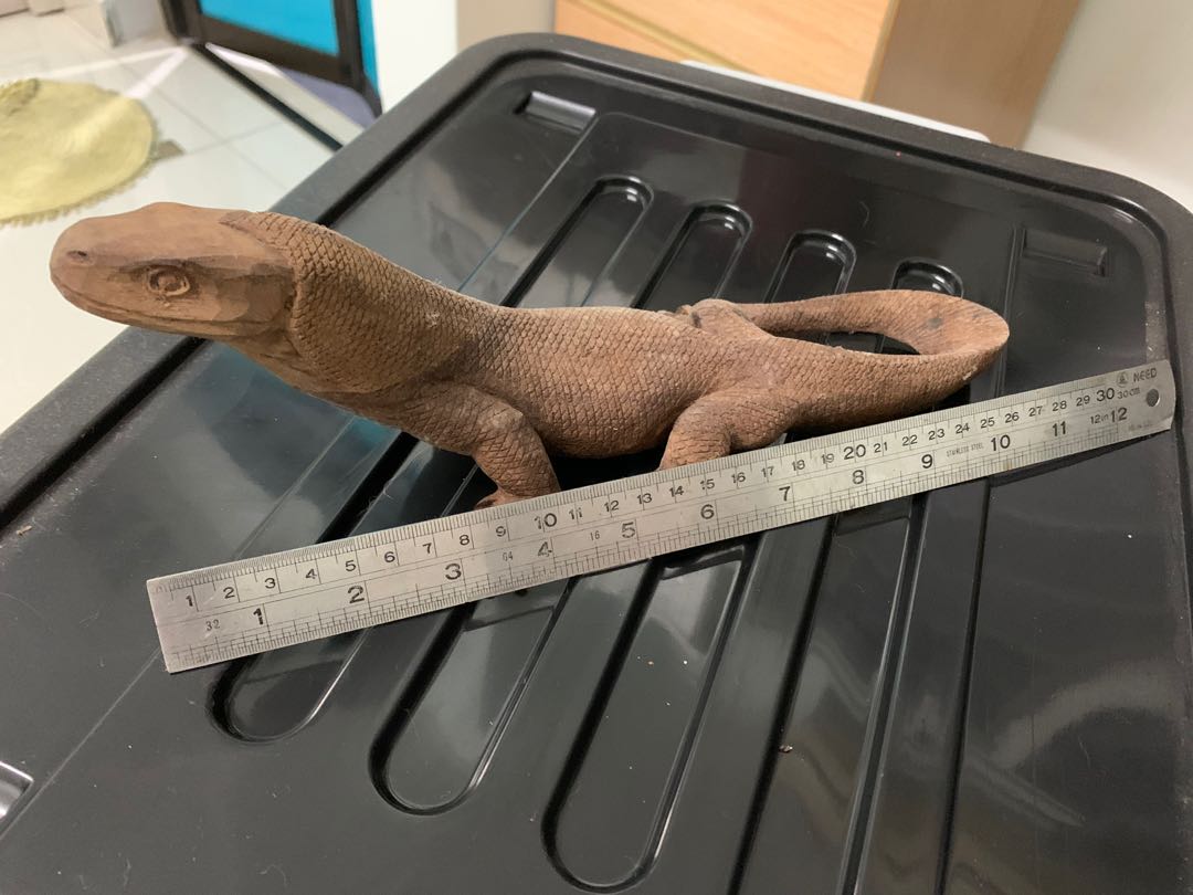 Komodo Dragon - woodwork, Hobbies & Toys, Stationery & Craft, Handmade ...