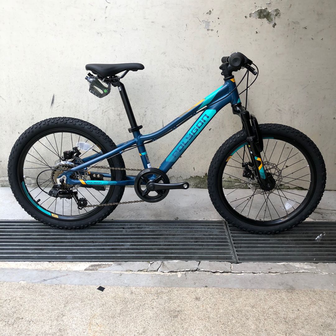 Polygon Relic 20, Sports Equipment, Bicycles & Parts, Bicycles on Carousell