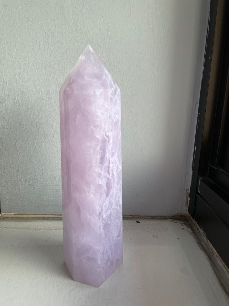 Rare purple pointer ., Everything Else on Carousell