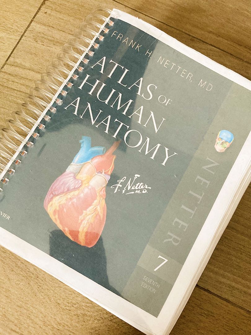 human anatomy book, Hobbies & Toys, Books & Magazines, Textbooks on ...