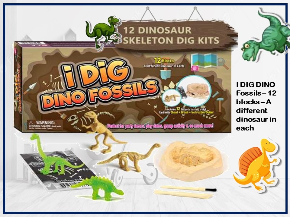 I DIG DINO Fossils – 12 blocks – A different dinosaur in each, Hobbies ...
