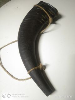 Tetuang tanduk kerbau, Hobbies & Toys, Collectibles & Memorabilia ...