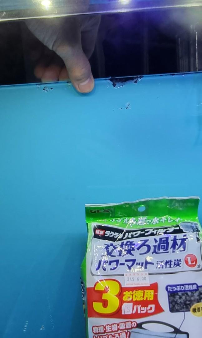 Curved edge fish tank, Everything Else on Carousell