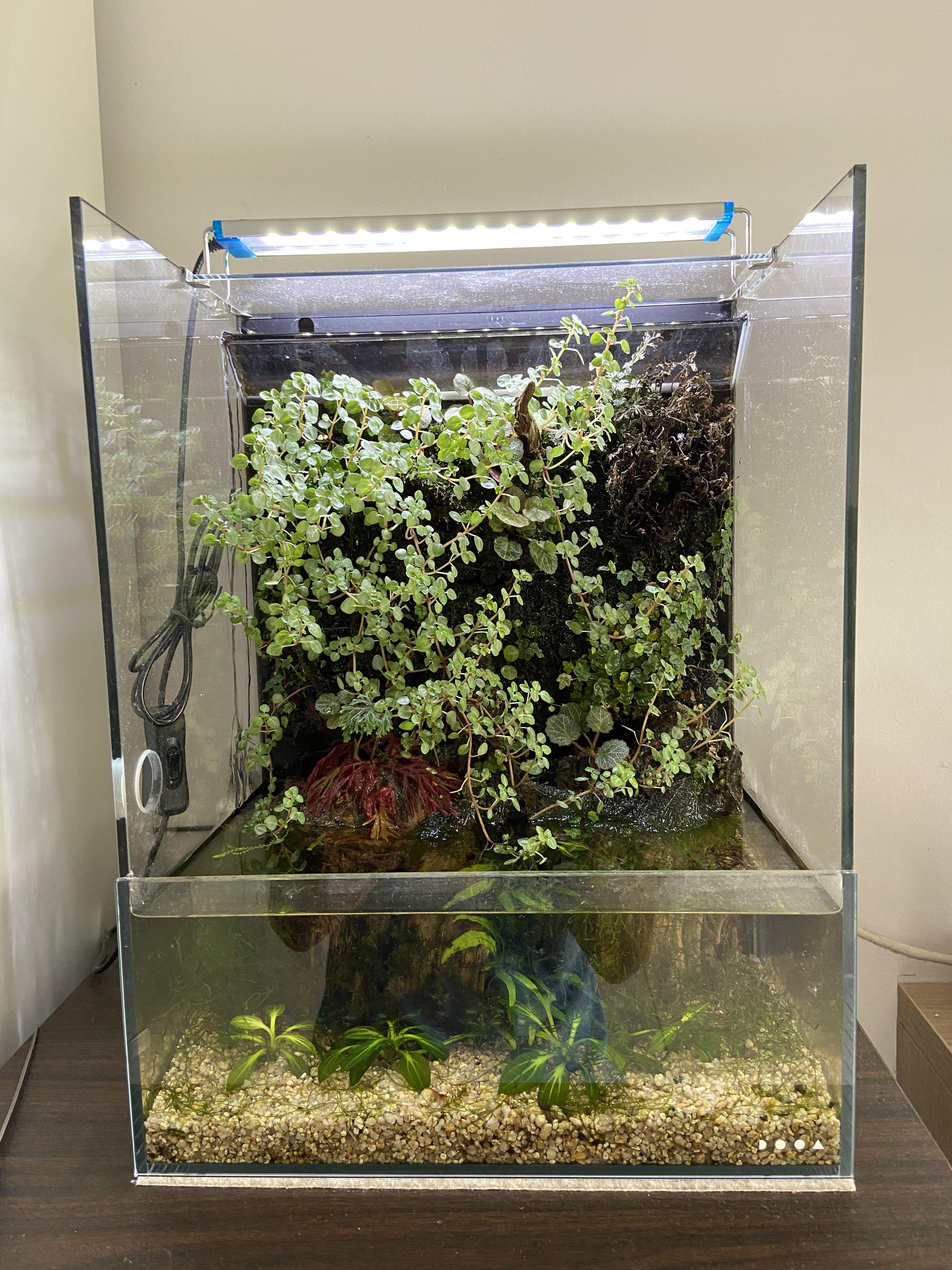 Dooa System Terra 30, Pet Supplies, Homes & Other Pet Accessories on ...