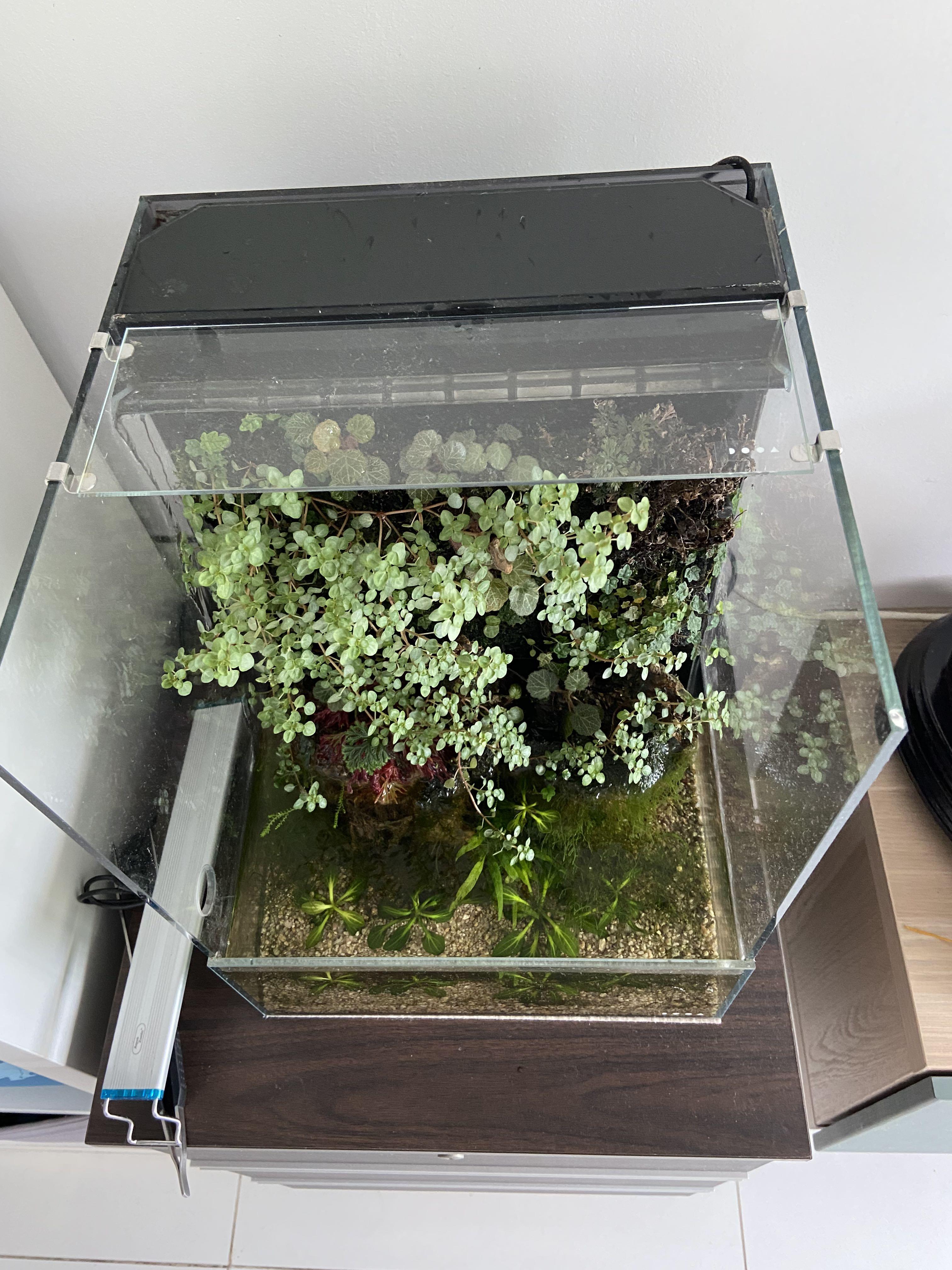 Dooa System Terra 30, Pet Supplies, Homes & Other Pet Accessories on ...