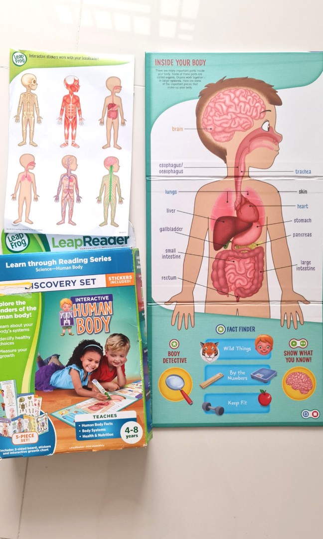 Leap Frog Leap Reader Interactive Human Body, Hobbies & Toys, Books ...
