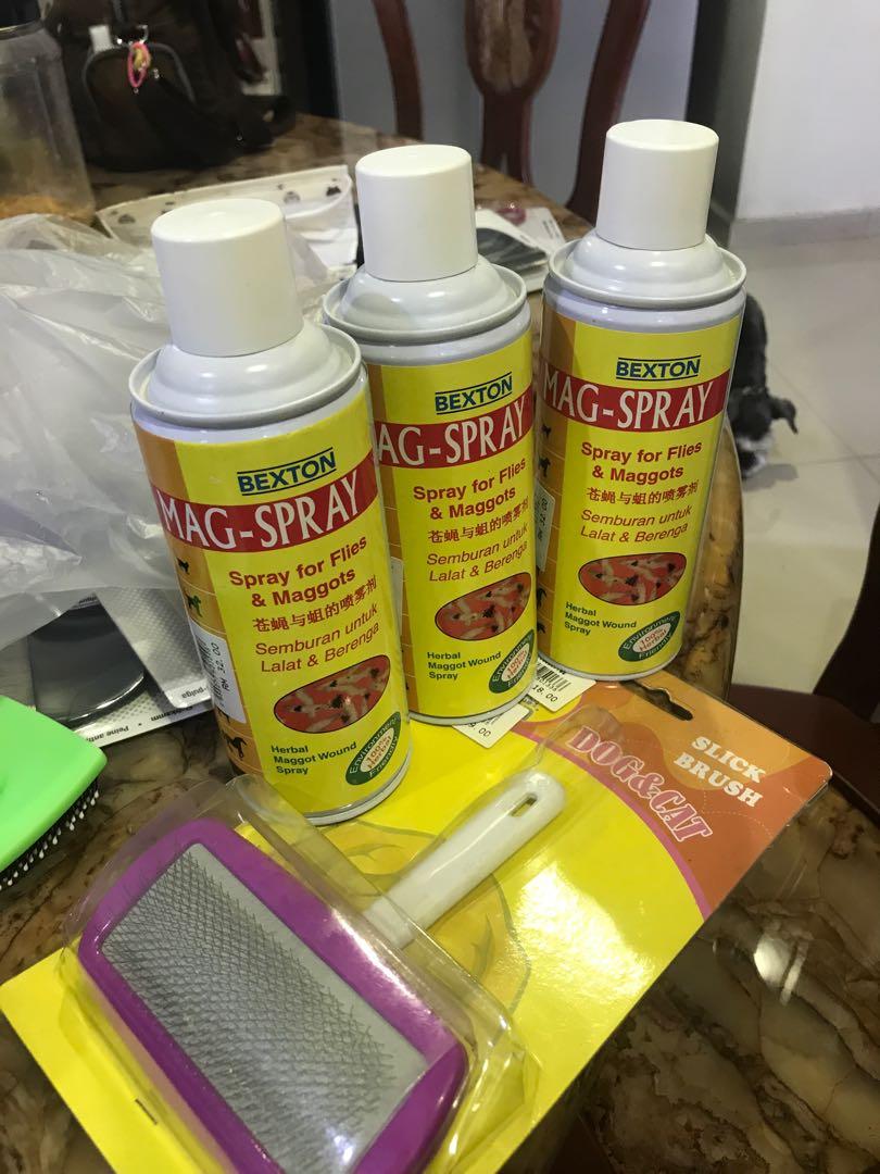 Maggot Killer Spray For Dogs at Henry Briggs blog