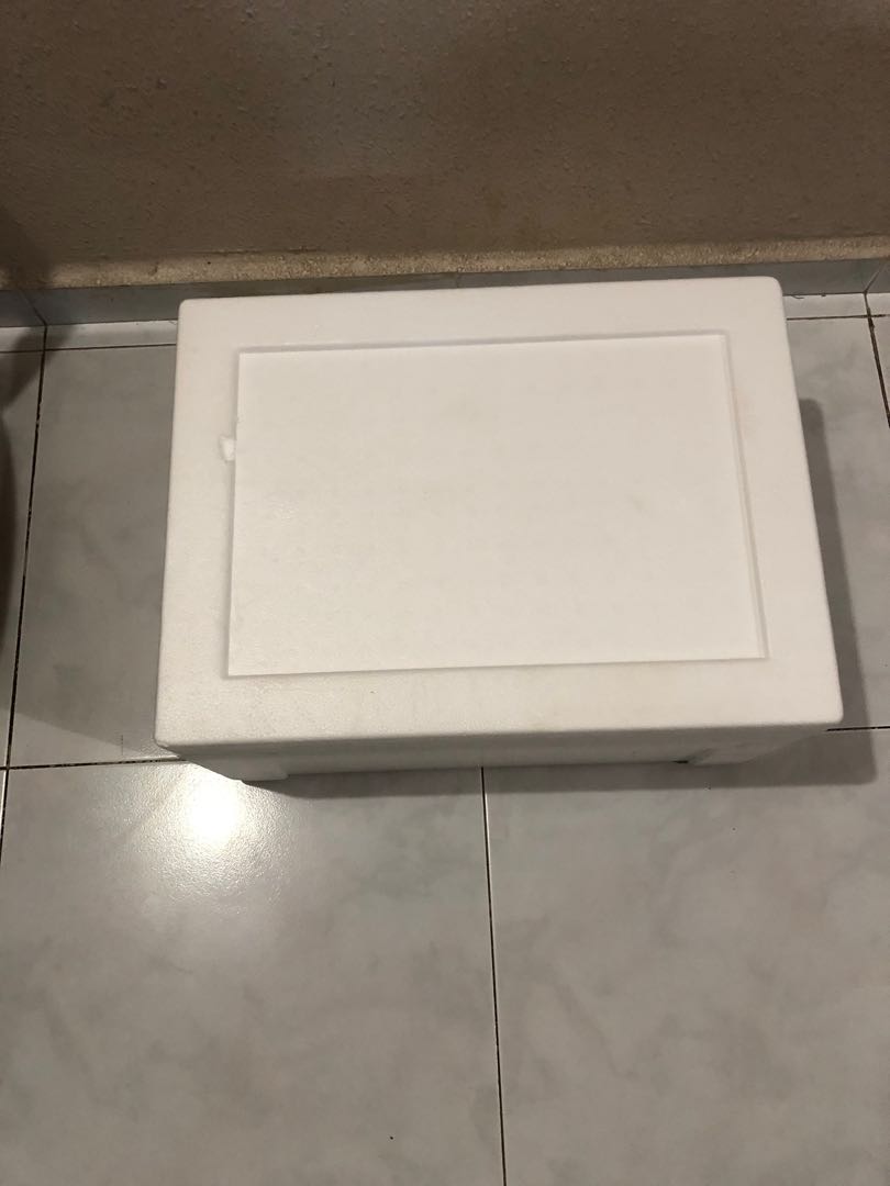Styrofoam box, Everything Else on Carousell