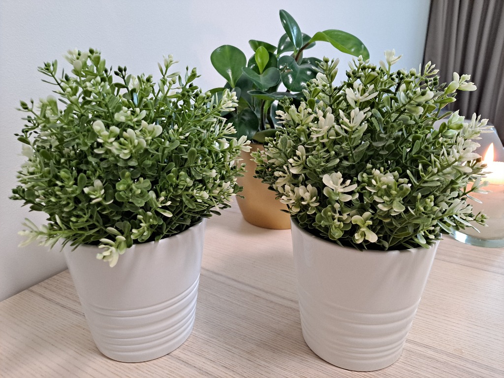 FEJKA artificial plant with MUSKOT plant pot (IKEA), Furniture & Home ...