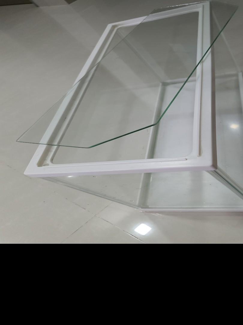 GEX Desk Boy 450 Aquarium Fish Tank, Pet Supplies, Homes & Other Pet Accessories on Carousell