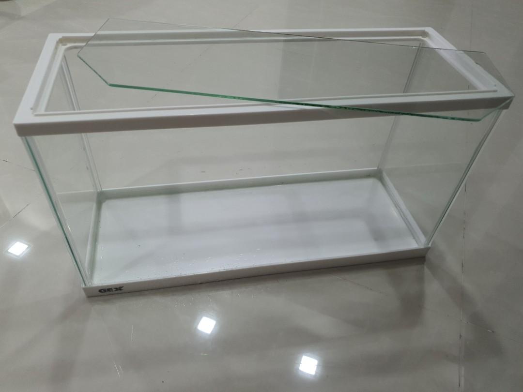 GEX Desk Boy 450 Aquarium Fish Tank, Pet Supplies, Homes & Other Pet Accessories on Carousell