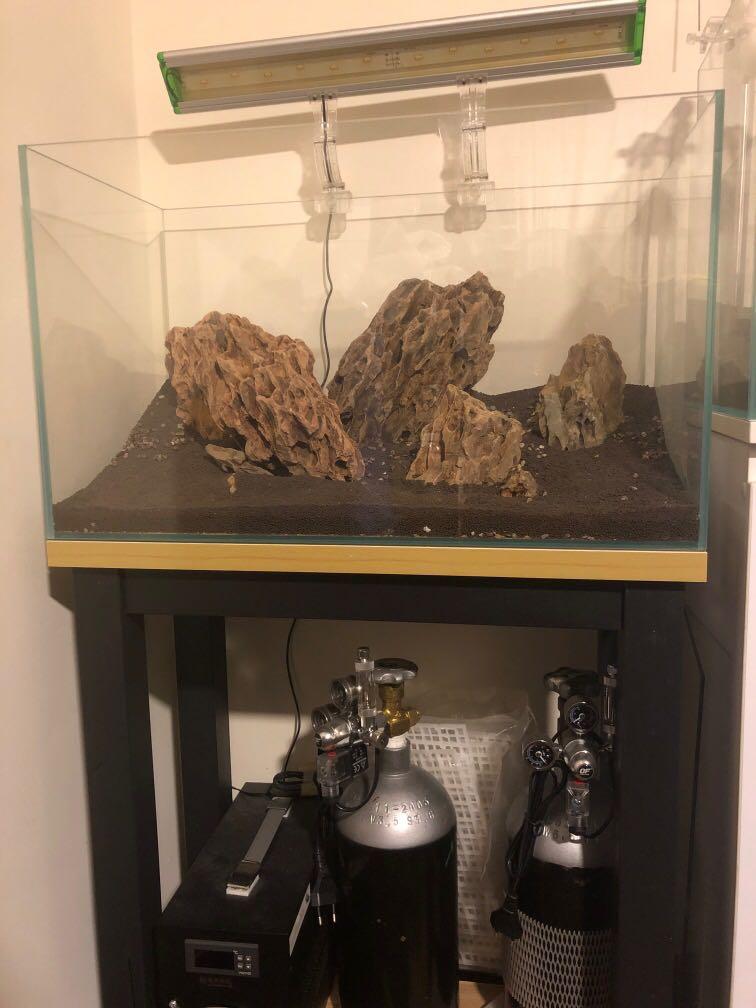 2ft Crystal Glass Tank with Stand and Hardscape, Pet Supplies, Homes ...