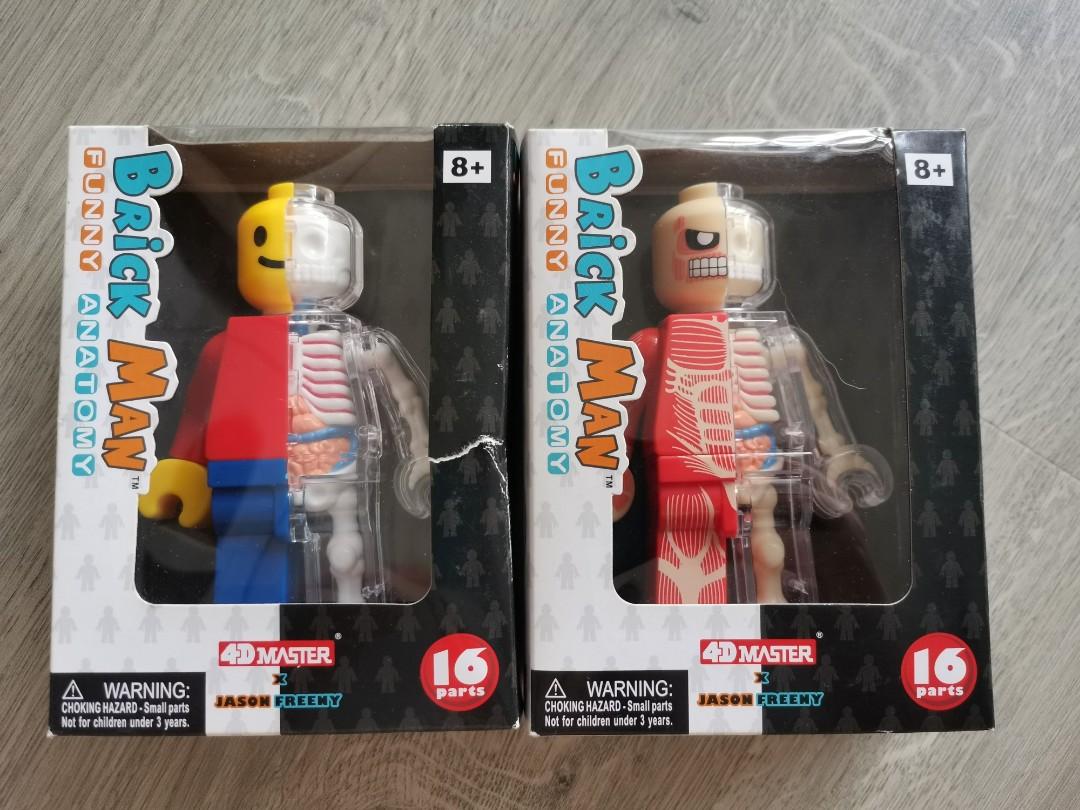 BN Pair Jason Freeny Brick Man anatomy, Hobbies & Toys, Toys & Games on ...