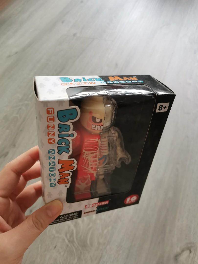 BN Pair Jason Freeny Brick Man anatomy, Hobbies & Toys, Toys & Games on ...