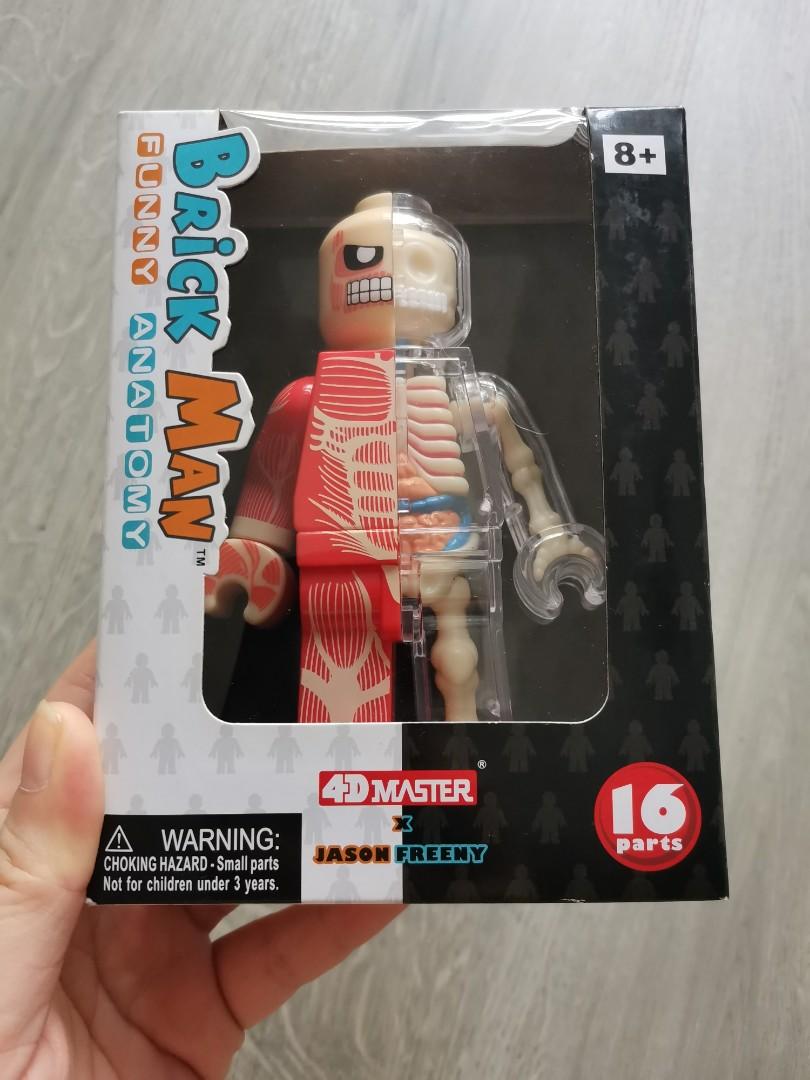 BN Pair Jason Freeny Brick Man anatomy, Hobbies & Toys, Toys & Games on ...