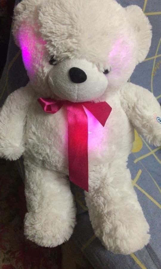 Original Glo-E White Sparkle Bear CEPIA Color Kinetics from UK, Hobbies ...