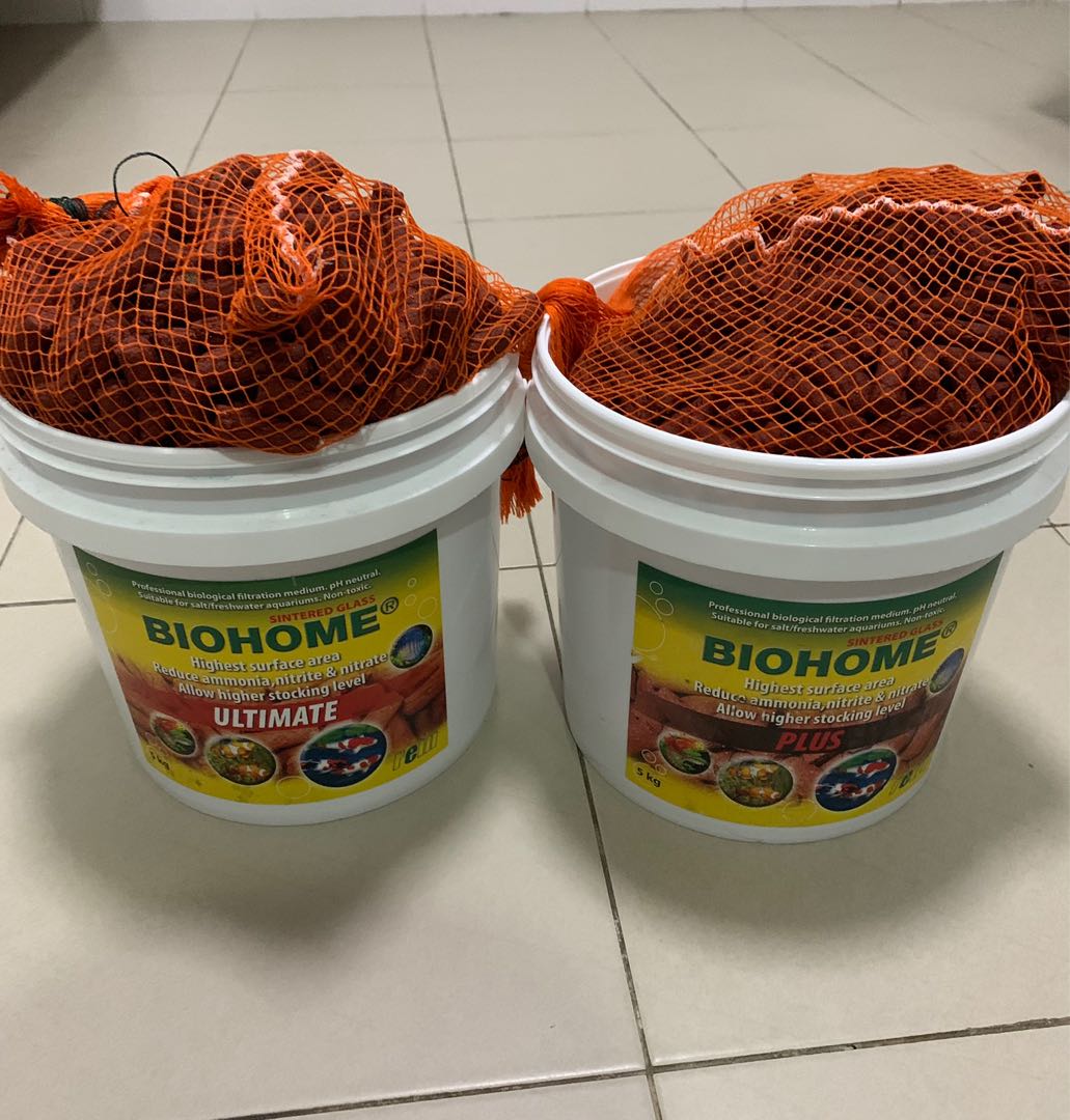 BioHome Media, Pet Supplies, Homes & Other Pet Accessories on Carousell