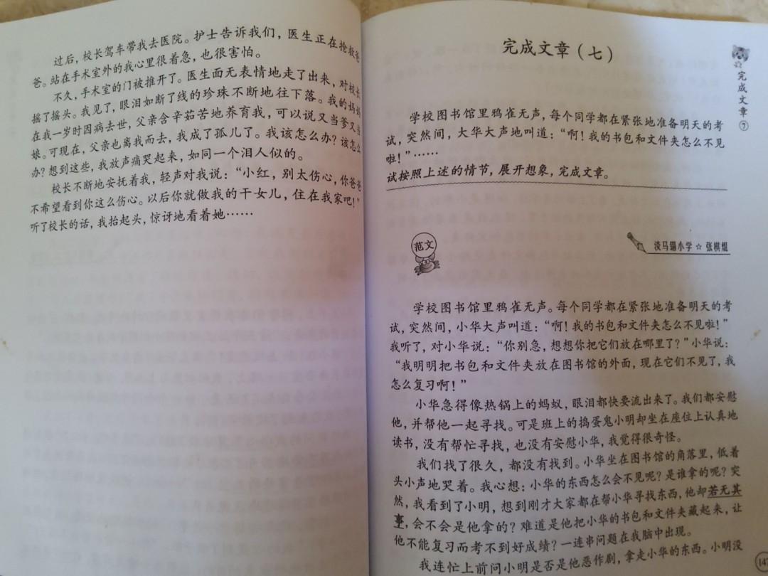 PSLE Chinese Composition 小学好作文 Primary 5 and 6, Hobbies & Toys, Books ...