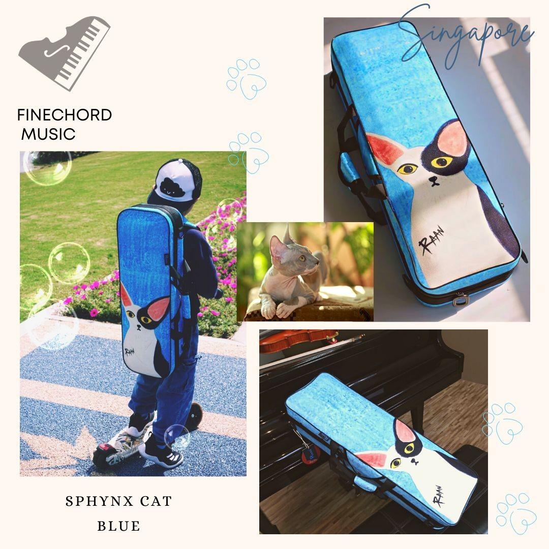 Raan violin case with cartoon painting designs, Hobbies & Toys, Music ...