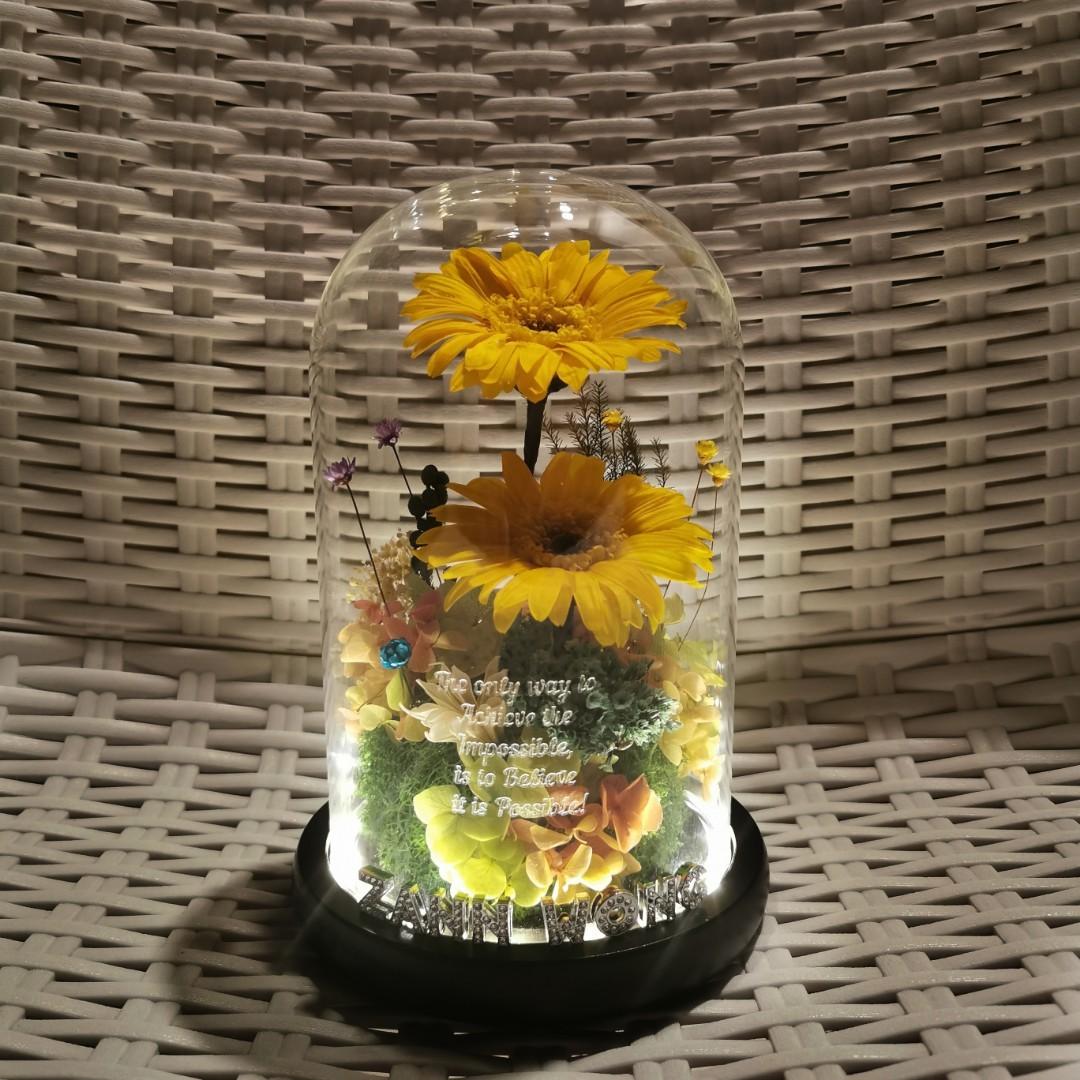 Sunflower Glass Dome | Preserved Flower, Hobbies & Toys, Stationery ...