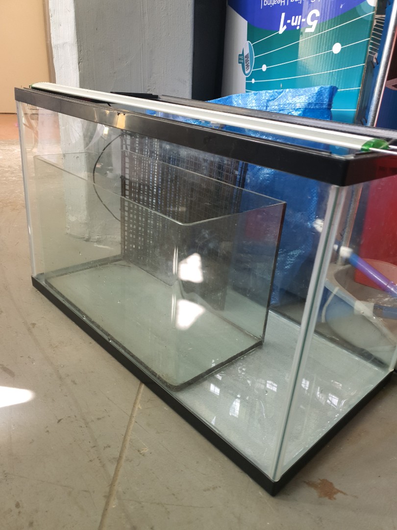 2 Feet Fish Tank With Overhead LED Light, Pet Supplies, Homes & Other ...