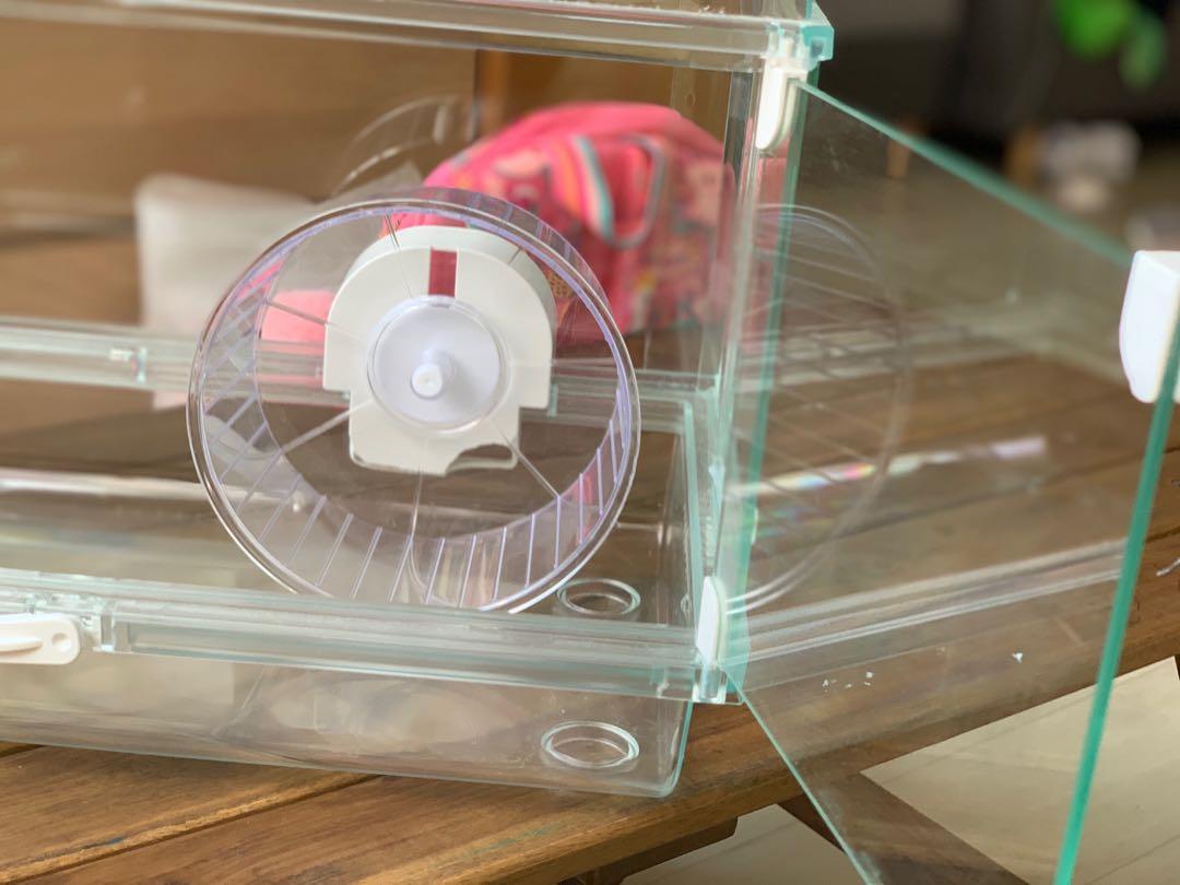 Gex Glass Harmony 360 Hamster Enclosure, Pet Supplies, Homes & Other Pet Accessories on Carousell